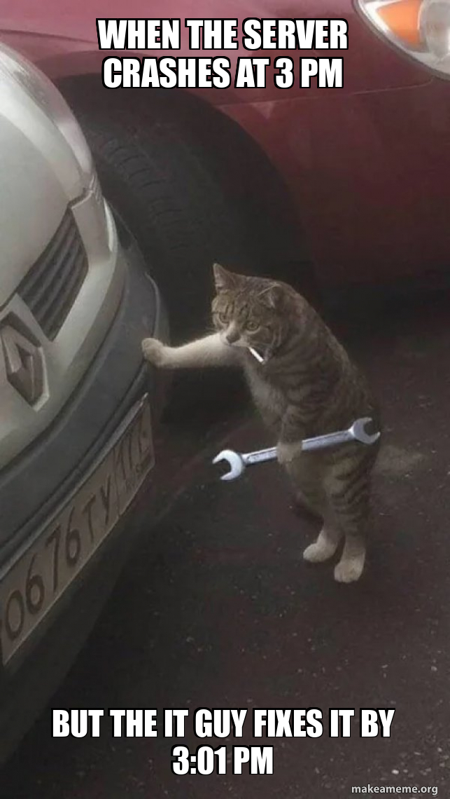 When the server crashes at 3 PM But the IT guy fixes it by 3:01 PM ...