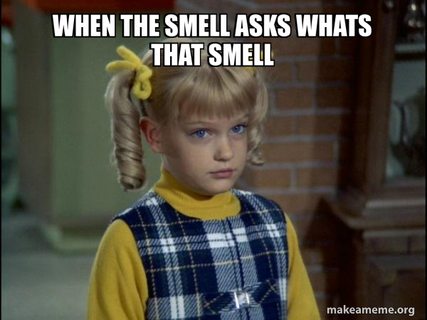 when the smell asks whats that smell - Cindy Brady Meme Meme Generator
