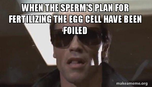 when the sperm's plan for fertilizing the egg cell have been foiled ...