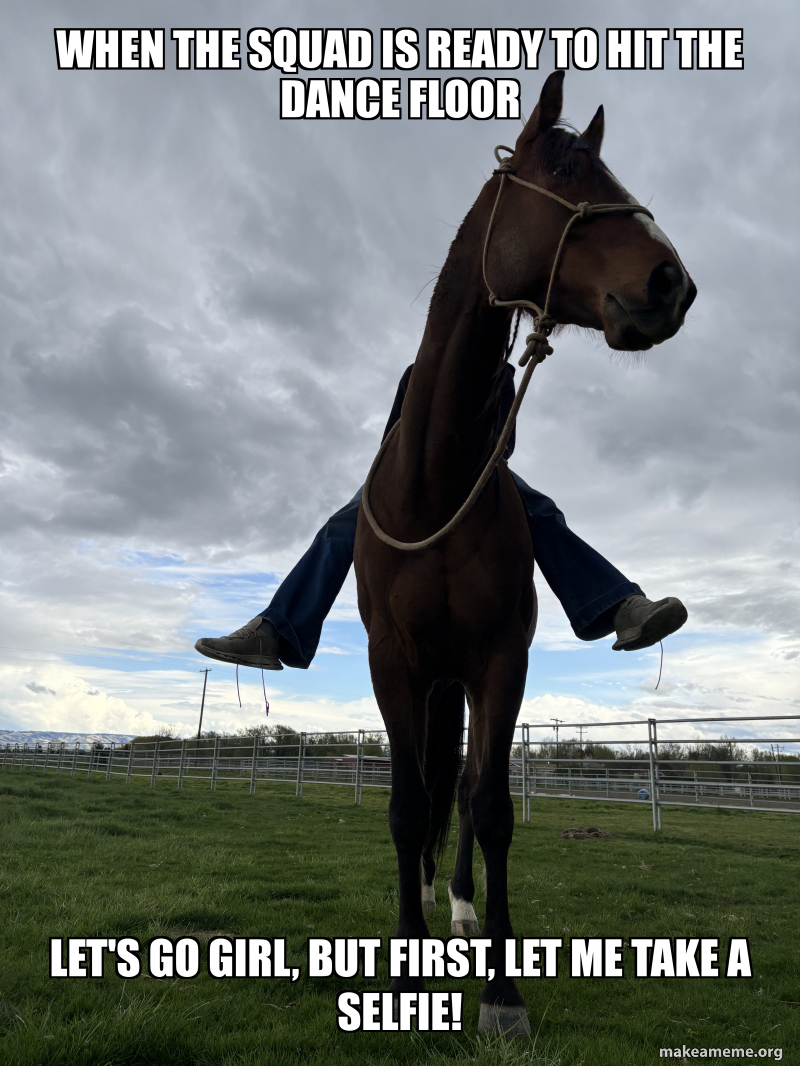 When the squad is ready to hit the dance floor Let's go girl, but first ...