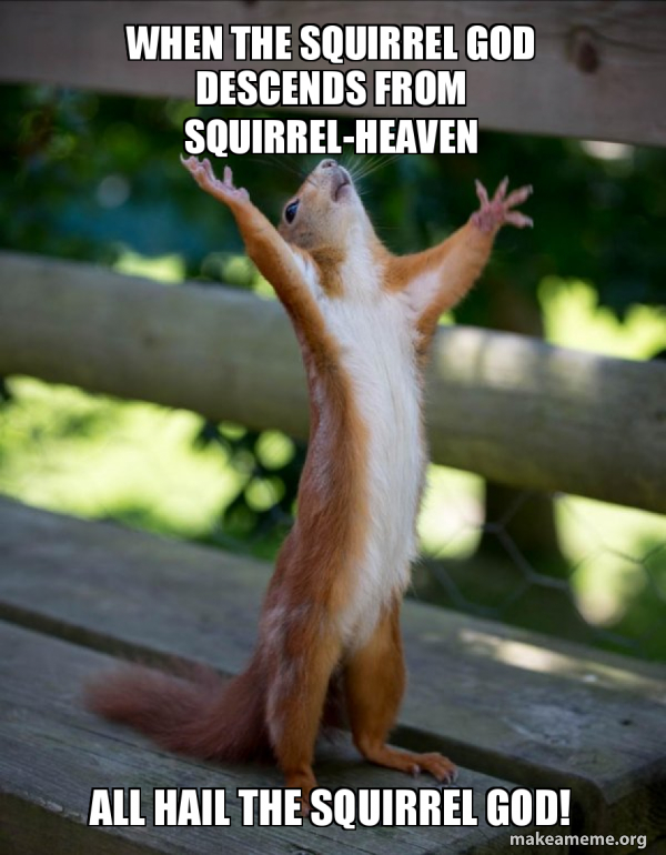 WHEN THE SQUIRREL GOD DESCENDS FROM SQUIRREL-HEAVEN ALL HAIL THE ...