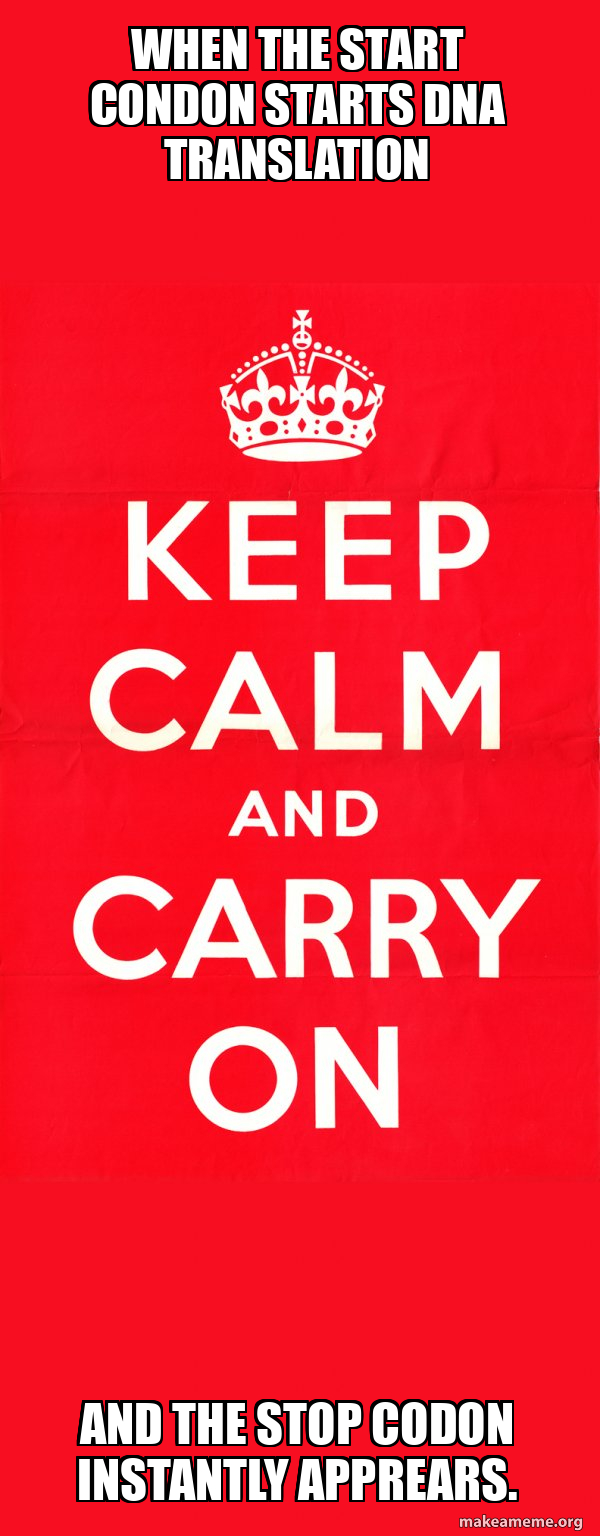 When the start condon starts DNA translation and the Stop codon ...