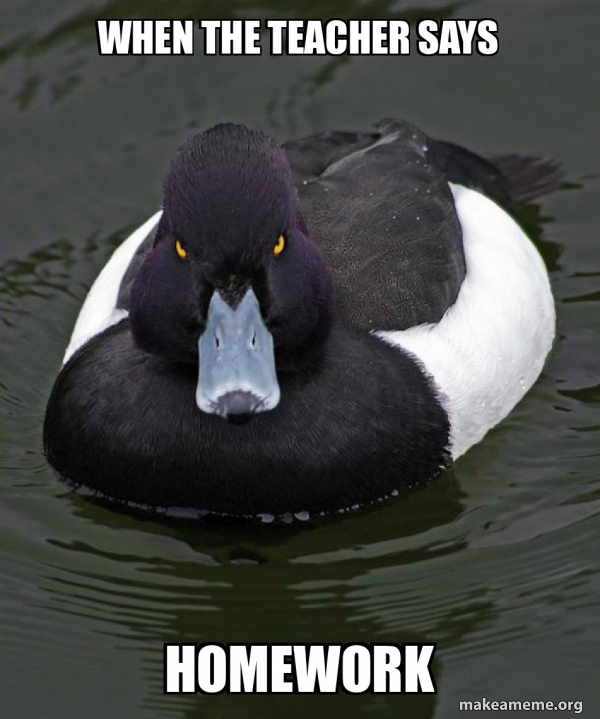 when the teacher says homework - Revenge Duck ( Angry Advice Duck ...