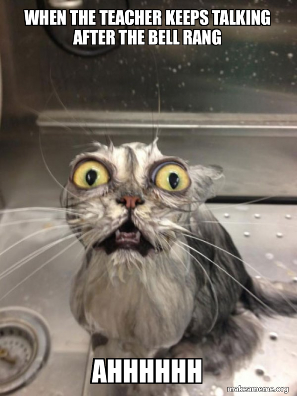 When the teacher keeps talking after the bell rang ahhhhhh - Cat bath ...
