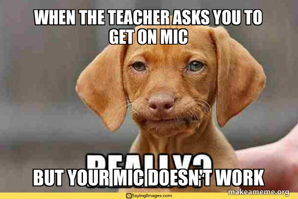 When the teacher asks you to get on mic But your mic doesn't work ...