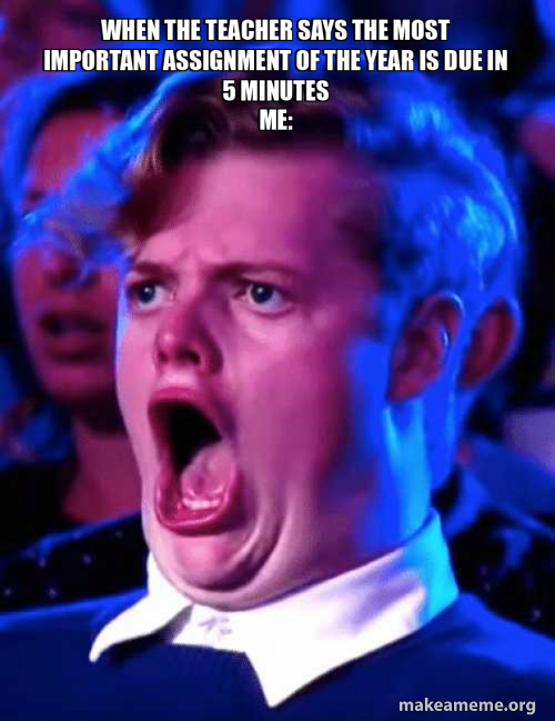 When the teacher says the most important ASSIGNMENT of the year is due ...