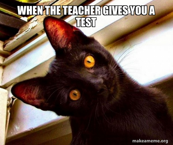 when the teacher gives you a test - Overly Attached Cat Meme Generator