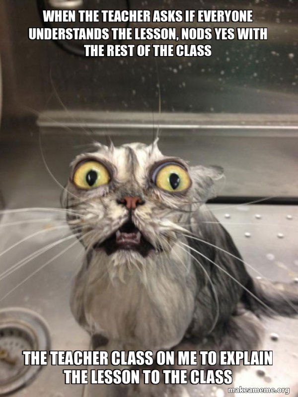 When the teacher asks if everyone understands the lesson, nods yes with ...