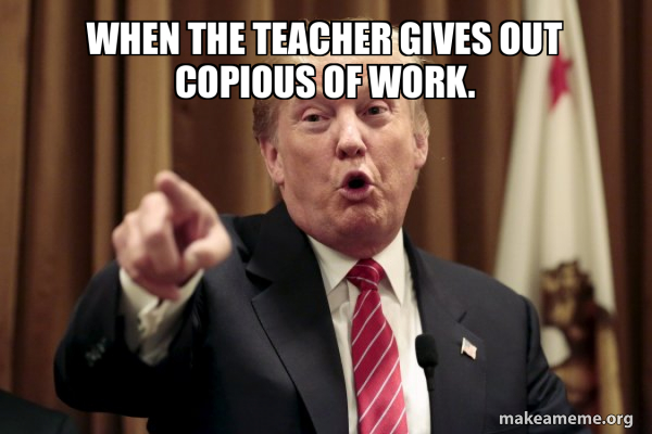When the teacher gives out copious of work. - Donald Trump Says Meme ...