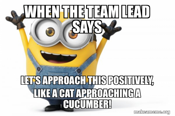 When the team lead says Let's approach this positively, like a cat ...