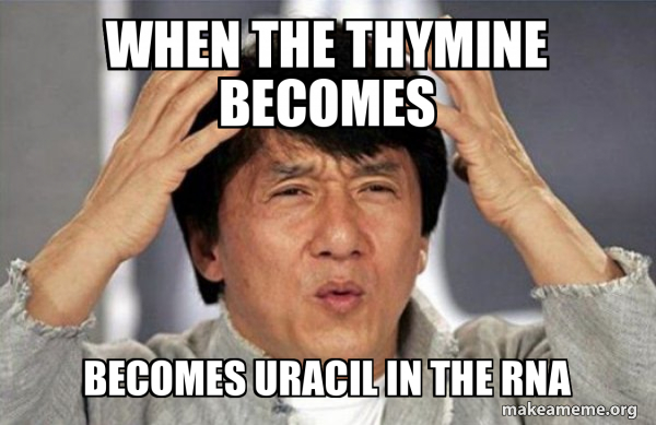 When the thymine becomes becomes uracil in the RNA - Jackie Chan Why ...