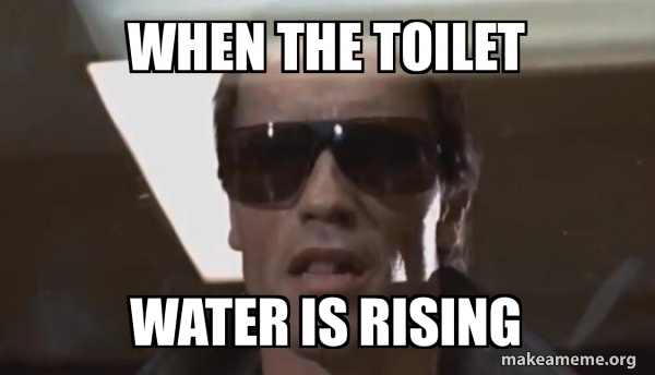 When the toilet water is rising - The Terminator Meme Generator