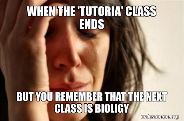 When the 'Tutoria' class ends But you remember that the next class is ...