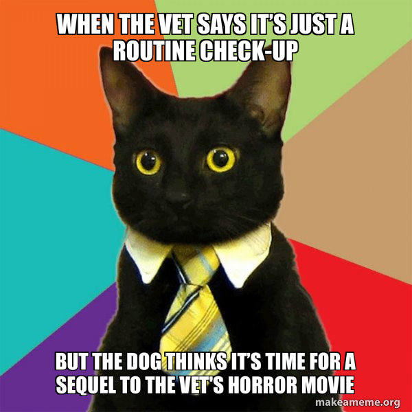 When the vet says it’s just a routine check-up But the dog thinks it’s ...