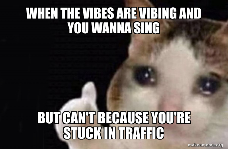 when the vibes are vibing and you wanna sing But can't because you're stuck in traffic Meme ...