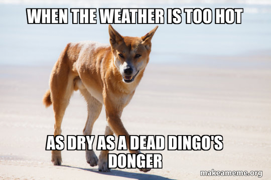 When the weather is too hot As dry as a dead dingo's donger - "As dry ...