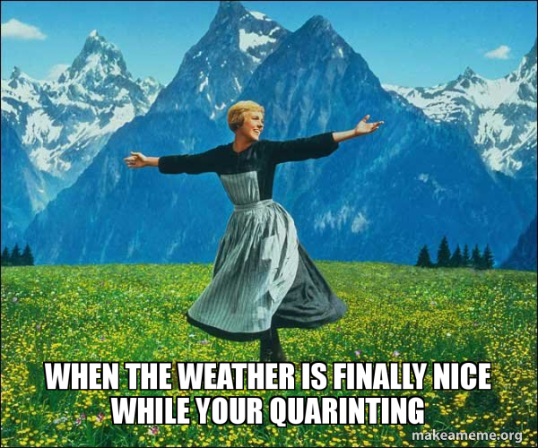 When the weather is finally nice while your quarinting - Sound of Music ...
