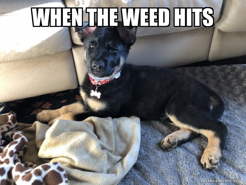 When the weed hiTs Meme Generator