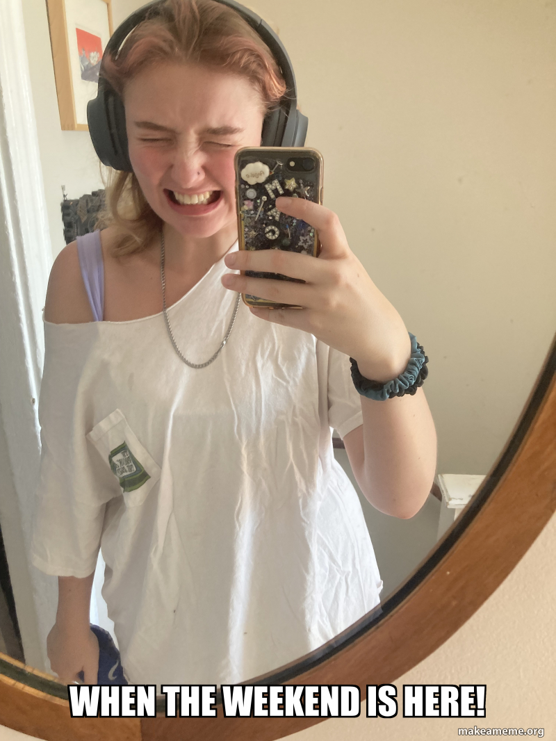 WHEN THE WEEKEND IS HERE! Meme Generator