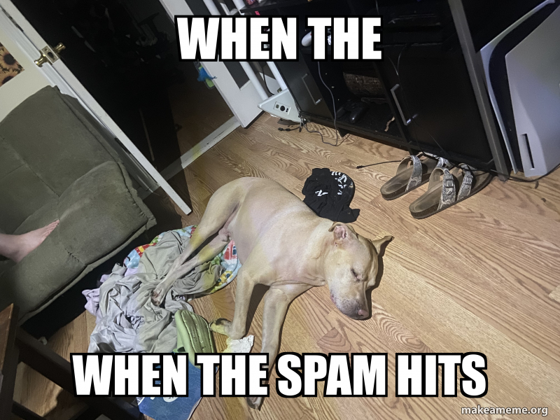 WHEN THE WHEN THE SPAM HITS Meme Generator