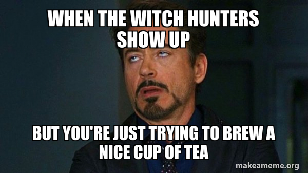 When the witch hunters show up But you're just trying to brew a nice ...