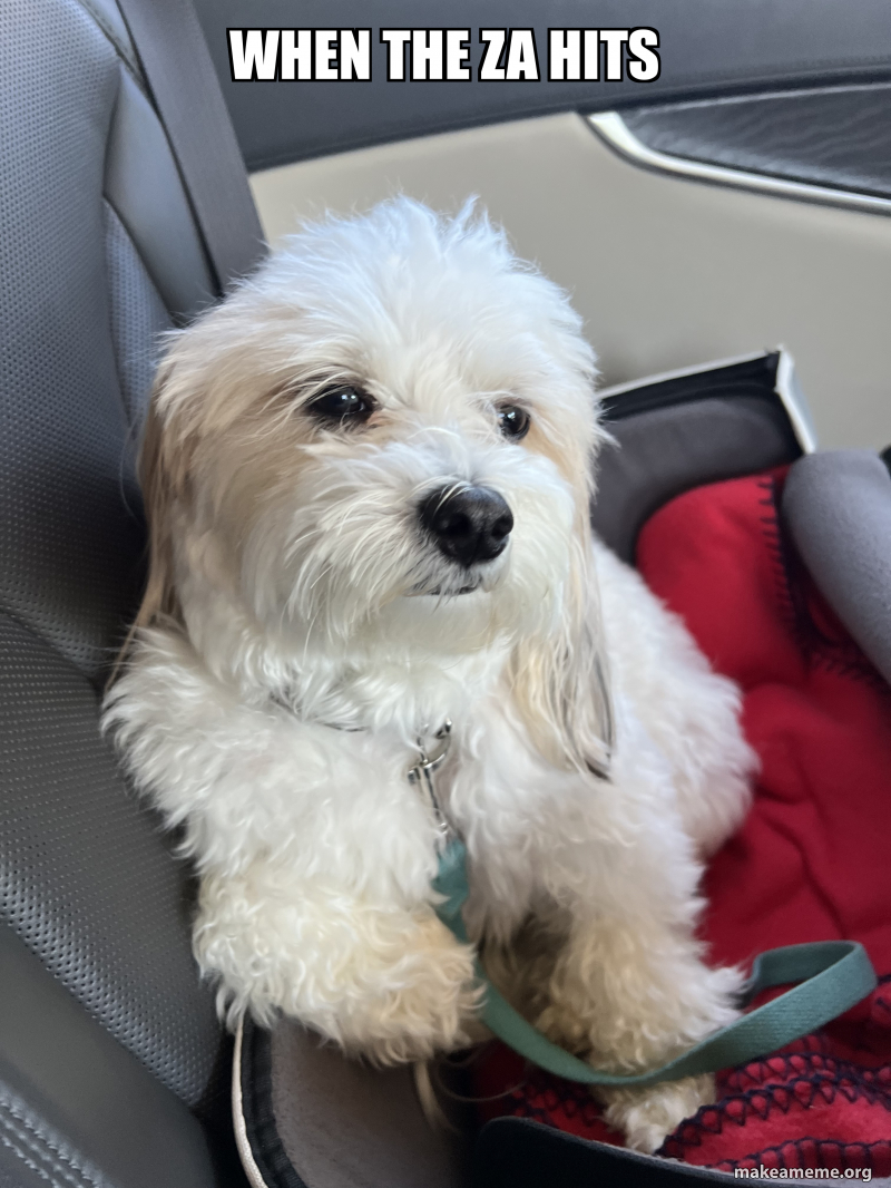 when the za hits Meme Generator