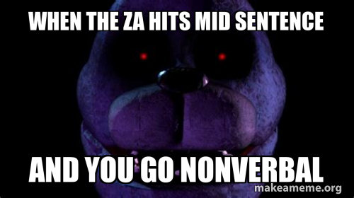 when the za hits mid sentence and you go nonverbal Meme Generator