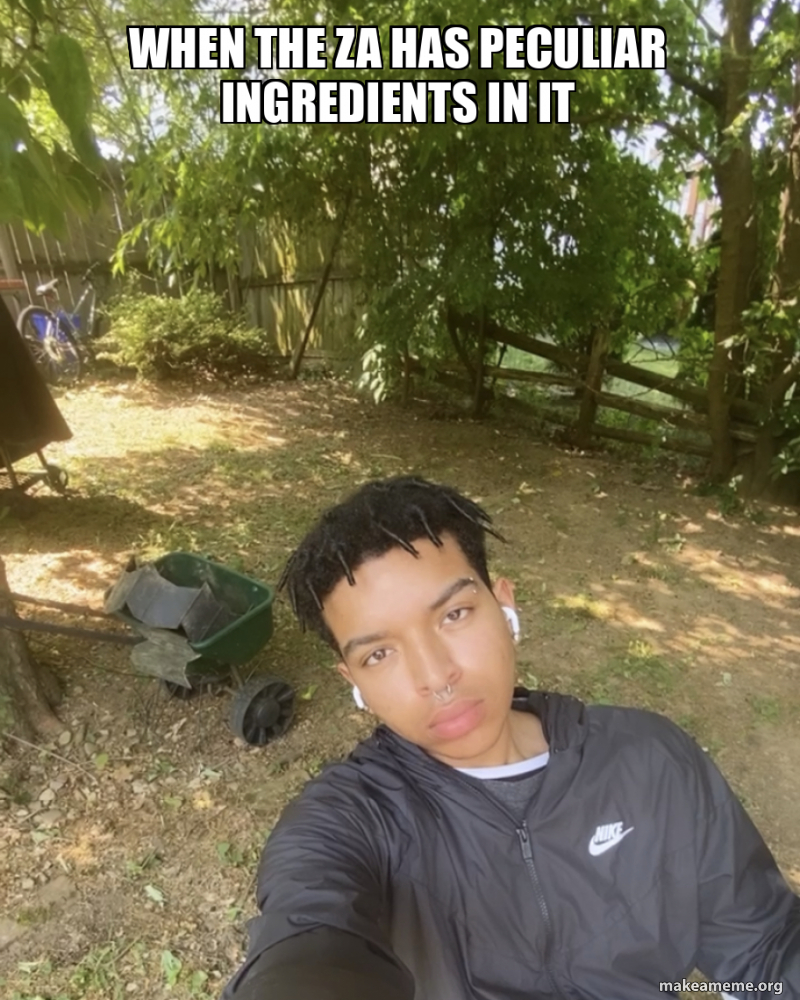 when the za has peculiar ingredients in it Meme Generator
