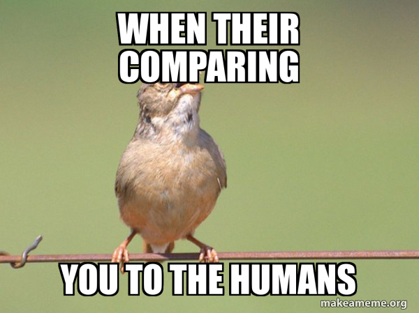 When their comparing you to the humans - Common Opinion Sparrow Meme ...