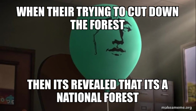 When their trying to cut down the forest then its revealed that its a ...