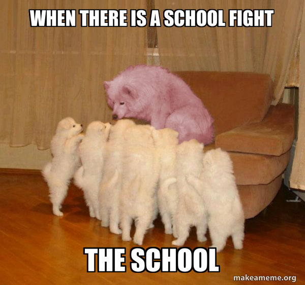 when there is a school fight the school - Malicious Storytelling Dog ...