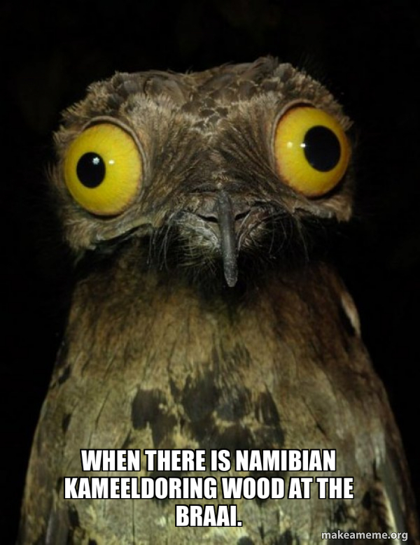 When there is Namibian Kameeldoring wood at the braai. - Weird Stuff I ...