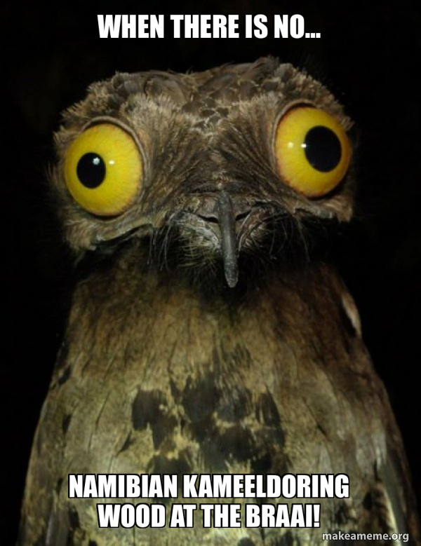 When there is no... Namibian Kameeldoring wood at the braai! - Weird ...