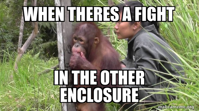 when theres a fight in the other enclosure Meme Generator