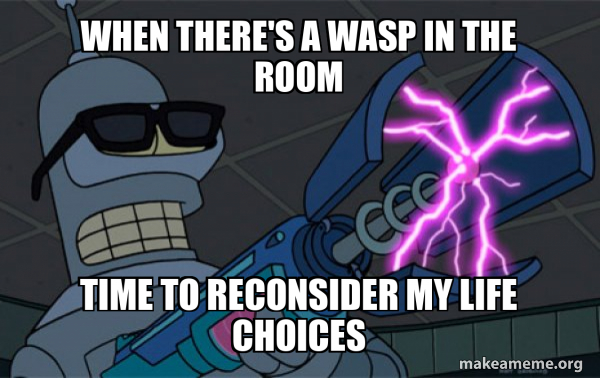 When there's a wasp in the room Time to reconsider my life choices ...