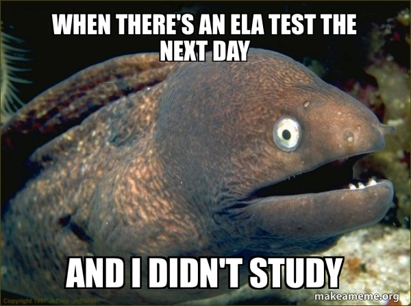 When there's an ELA test the next day and i didn't study - Bad Joke Eel ...