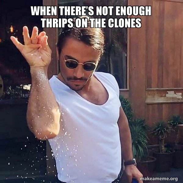 When thereâ€™s not enough thrips on the clones - SaltBae or Salt Bae ...