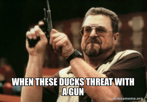 When these ducks threat with a gun - Am I the only one Meme Generator