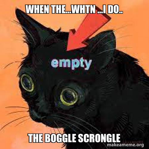 when the...whtn ...i do.. the BOGGLE scrongle - THE BOINGER Meme Generator