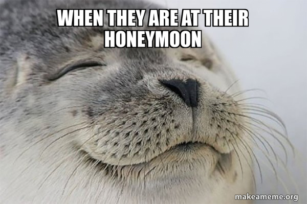 When they are at their honeymoon - Satisfied Seal Meme Generator
