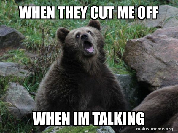 When they cut me off When Im talking - Sarcastic Bear Meme Generator