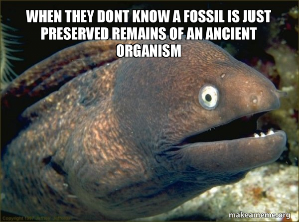 when they dont know a fossil is just preserved remains of an ancient ...