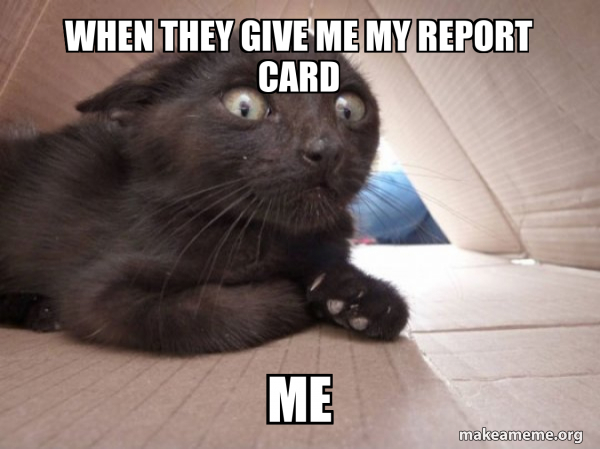 when they give me my report card ME - Schitzo Cat Meme Generator