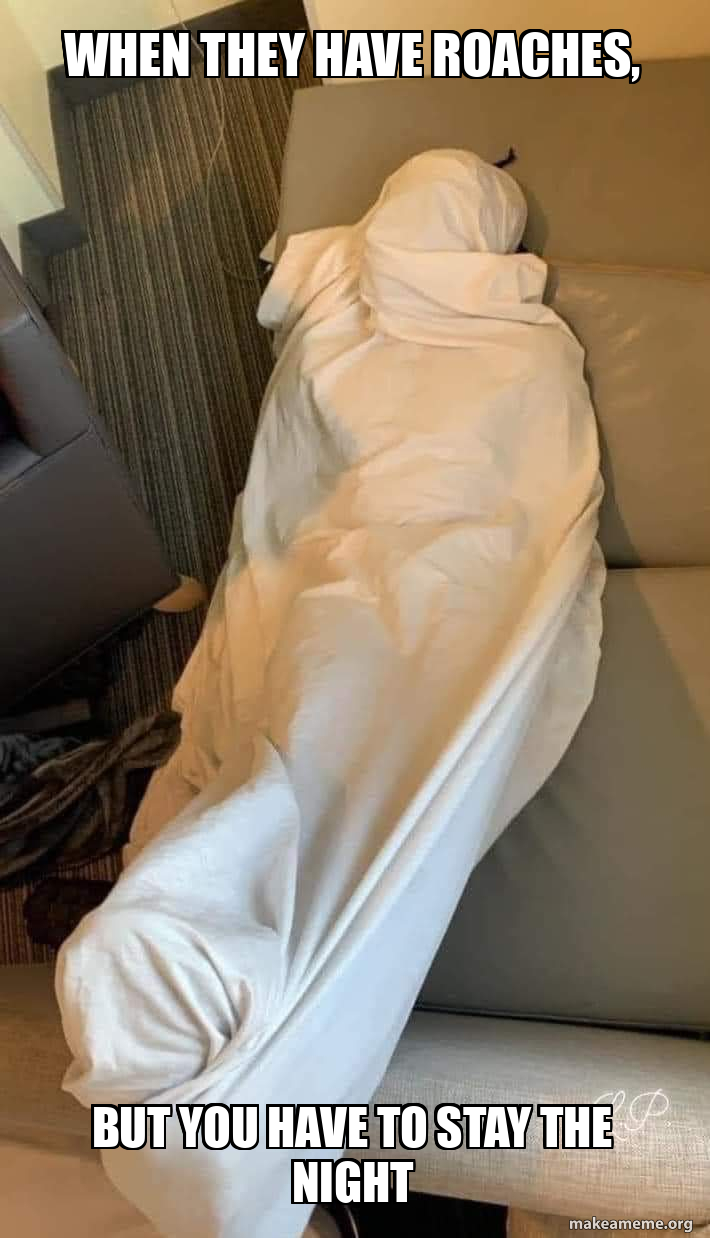 When they have roaches, But you have to stay the night Meme Generator