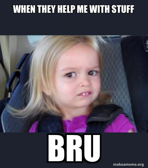 when they help me with stuff bru - Side-Eyes Chloe Meme Generator