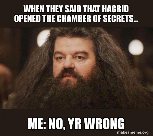 WHEN THEY SAID THAT HAGRID OPENED THE CHAMBER OF SECRETS... ME: NO, YR ...