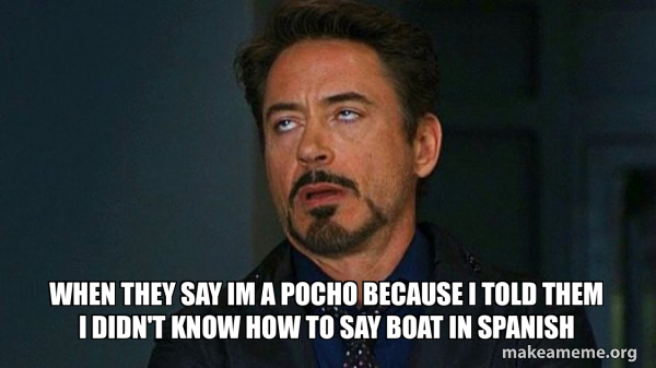 when they say im a Pocho because I told them I didn't know how to say ...
