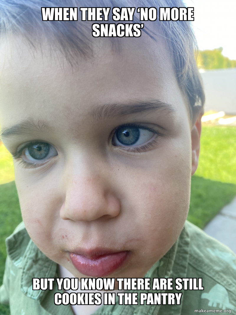 When they say ‘no more snacks’ But you know there are still cookies in ...