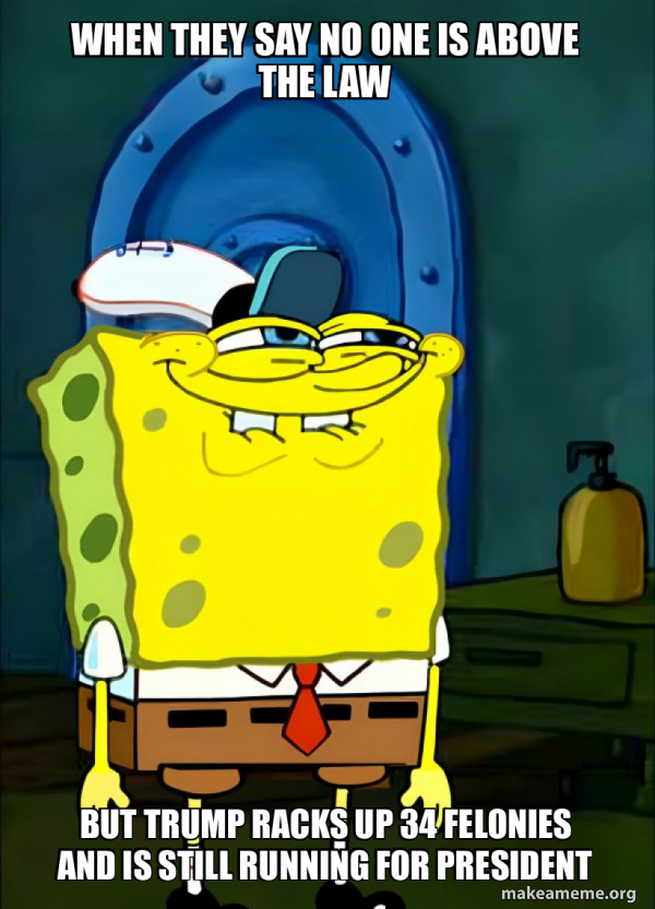 when they say no one is above the law but trump racks up 34 felonies ...