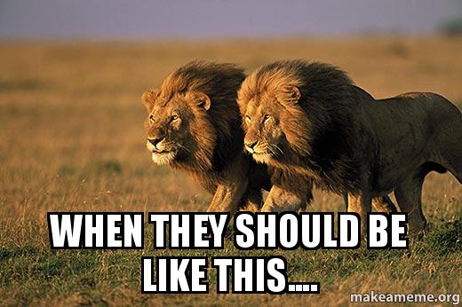 When they should be like this.... Meme Generator